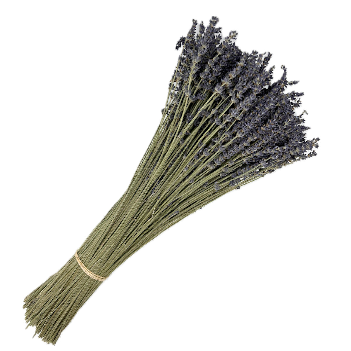 Dried Lavender Flowers (Stems)
