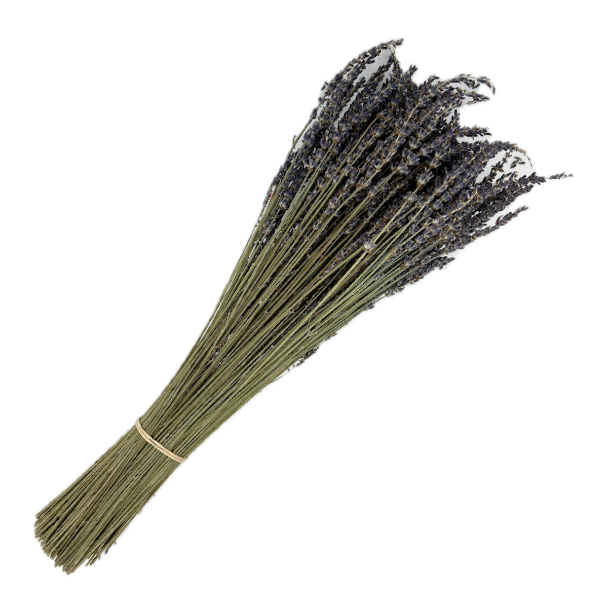 Dried Lavender Flowers (Stems)