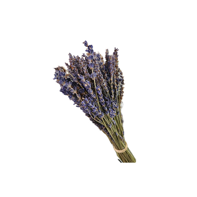 Dried Lavender Flowers (Stems)